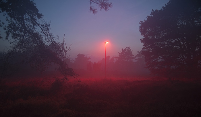 Calling Bat fans – Philips Lighting scientists develop LED road ...