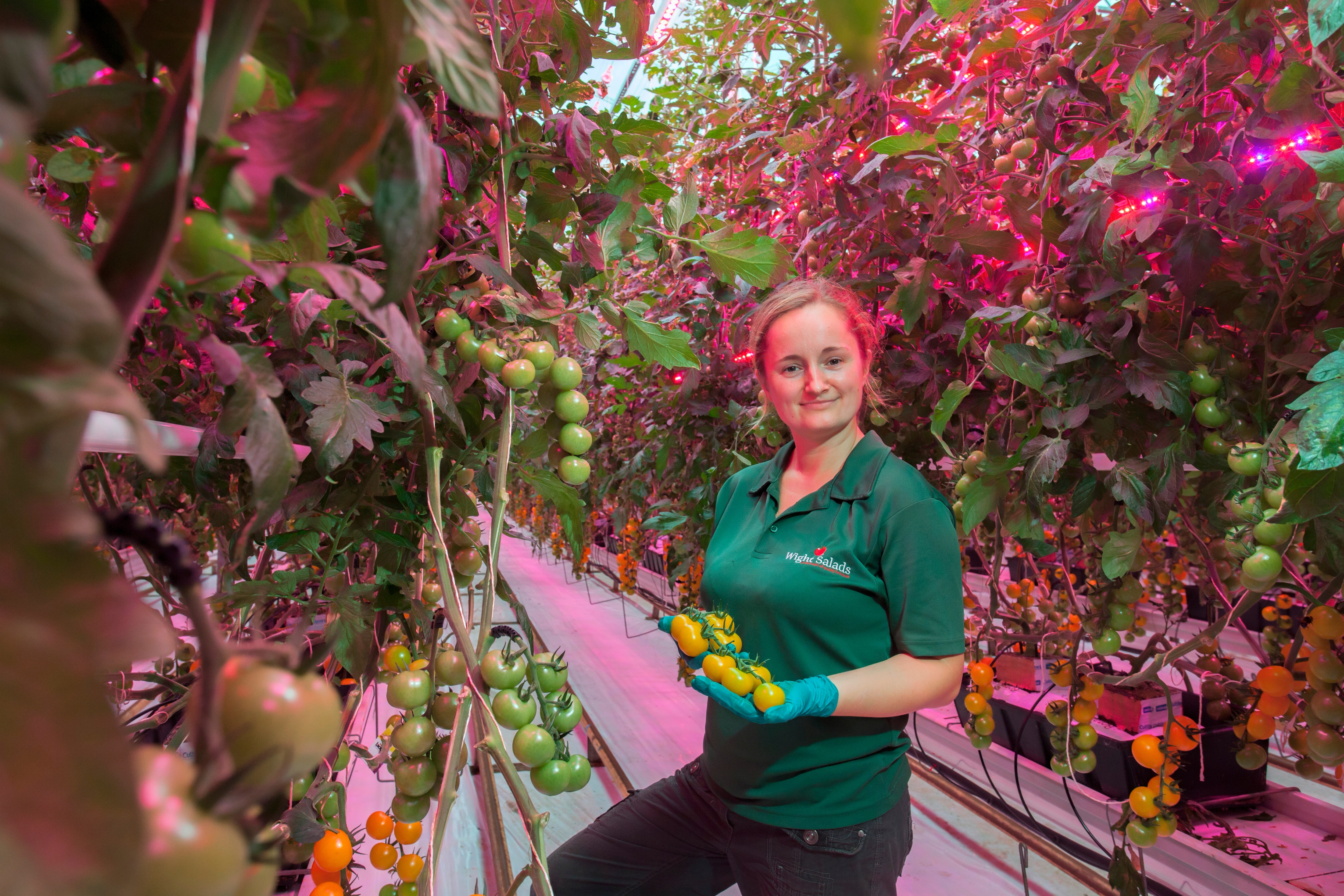 Philips Lighting launches new GreenPower LED interlighting - Newsroom ...