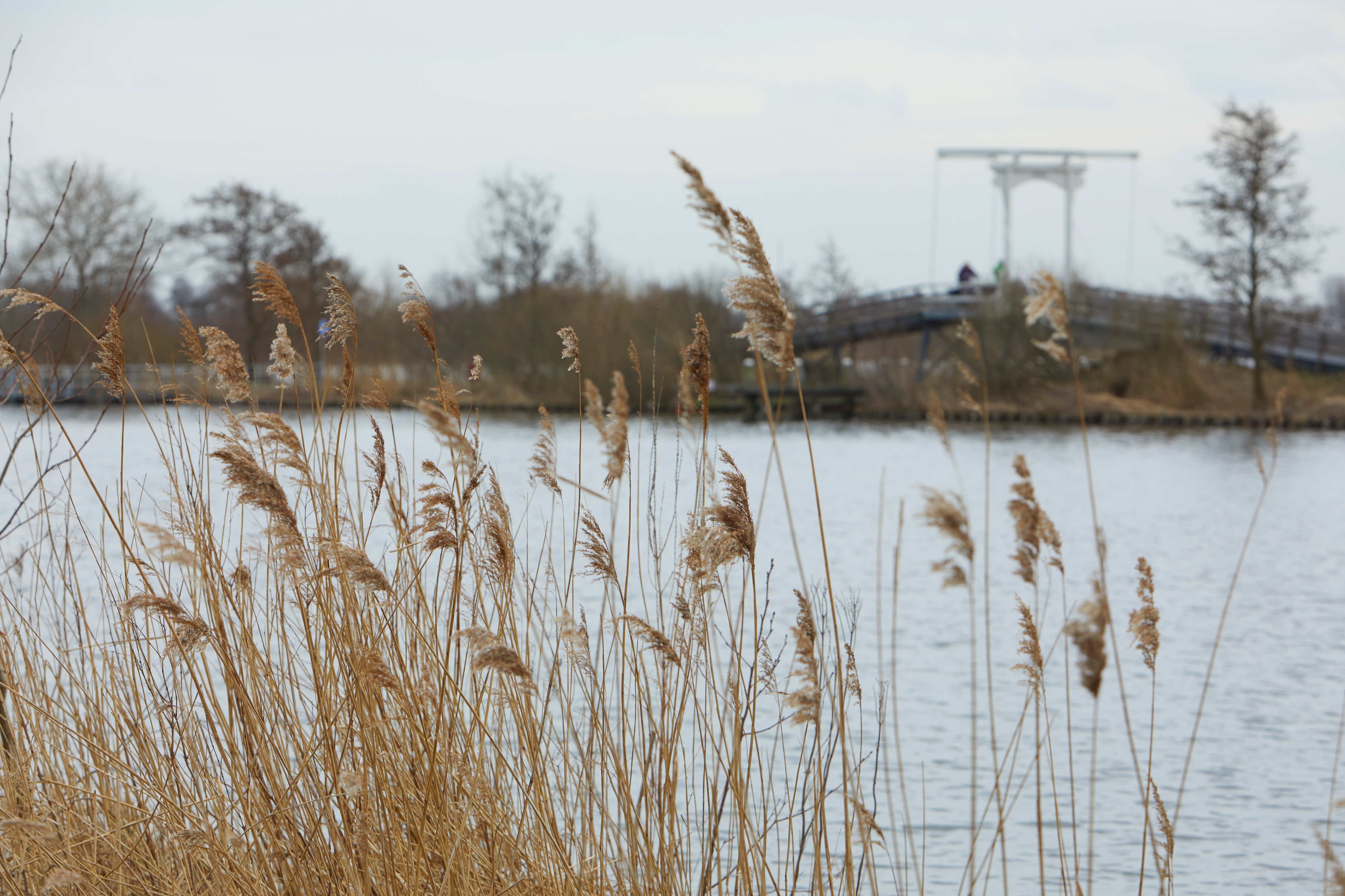 The world’s first bat-friendly street lighting | Signify Company Website