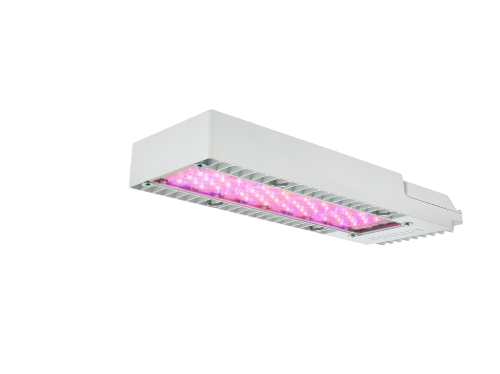 Signify helps AppHarvest to increase yields in 25-hectare greenhouse ...