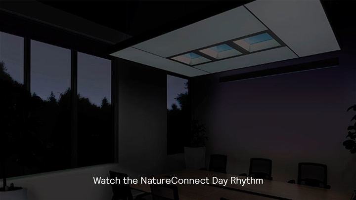 NatureConnect – Natural lighting solutions | Signify Company Website