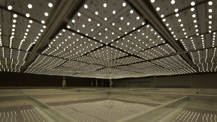 Spatial Light Distribution Signify Company Website