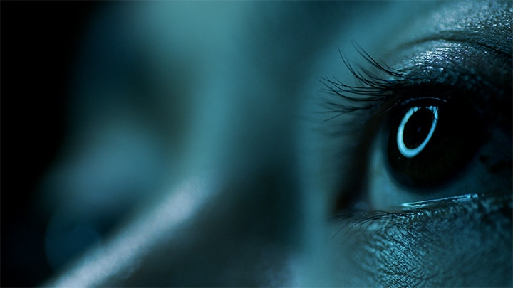 Signify Interns Illuminate Their Future | Signify Company Website