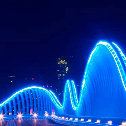 Signify Foundation | Signify Company Website