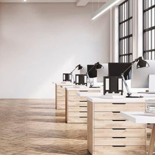 NatureConnect Downloadable Assets | Signify