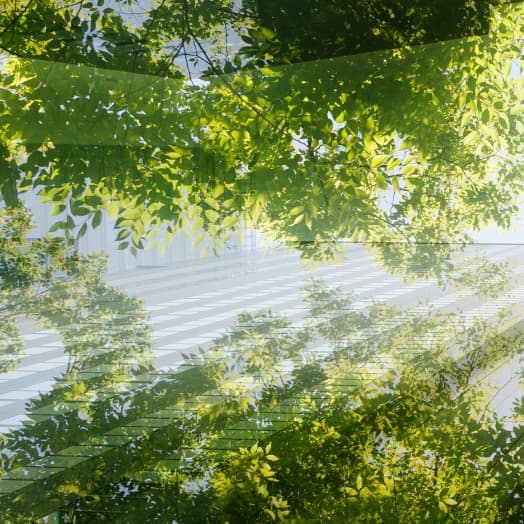 Interact Pro | Signify