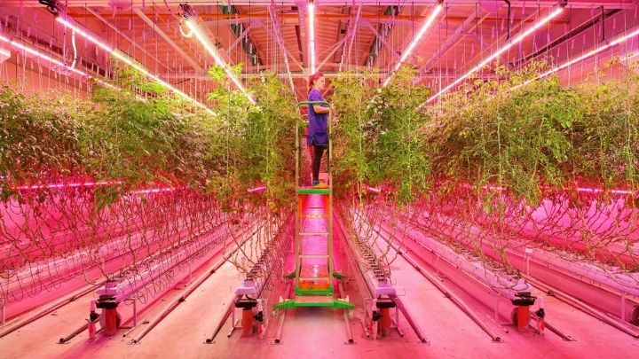 Getting smart with lighting | Signify Company Website