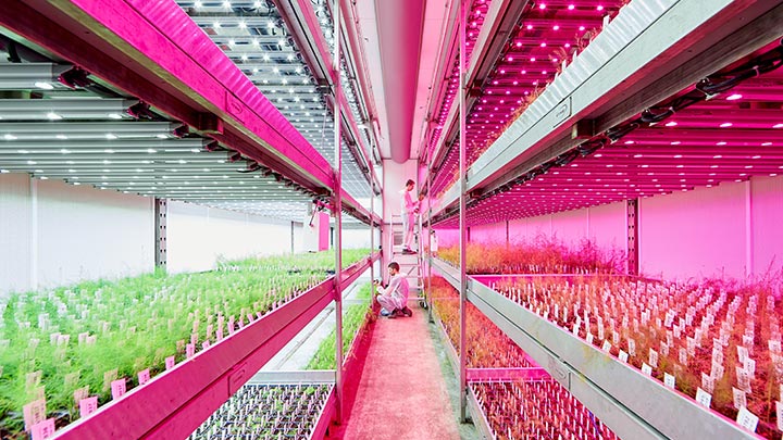 Signify closes in on 2020 Sustainability goals after delivering ahead ...