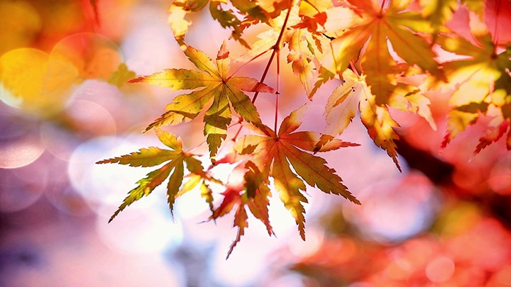 Subtext of Context in Lighting Design | Signify Company Website