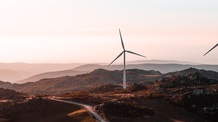 We are committed to protect our planet | Signify Company Website