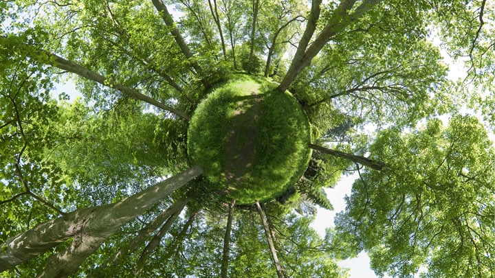 Circular economy | Signify