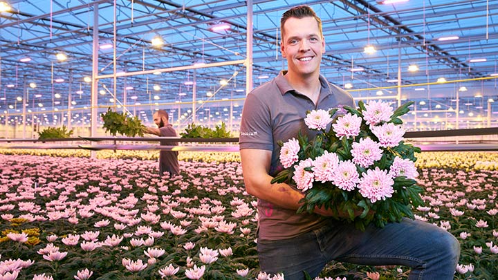 Philips Led For Greenhouse