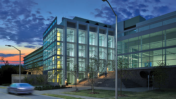 Lighting up the autumn | Signify Company Website